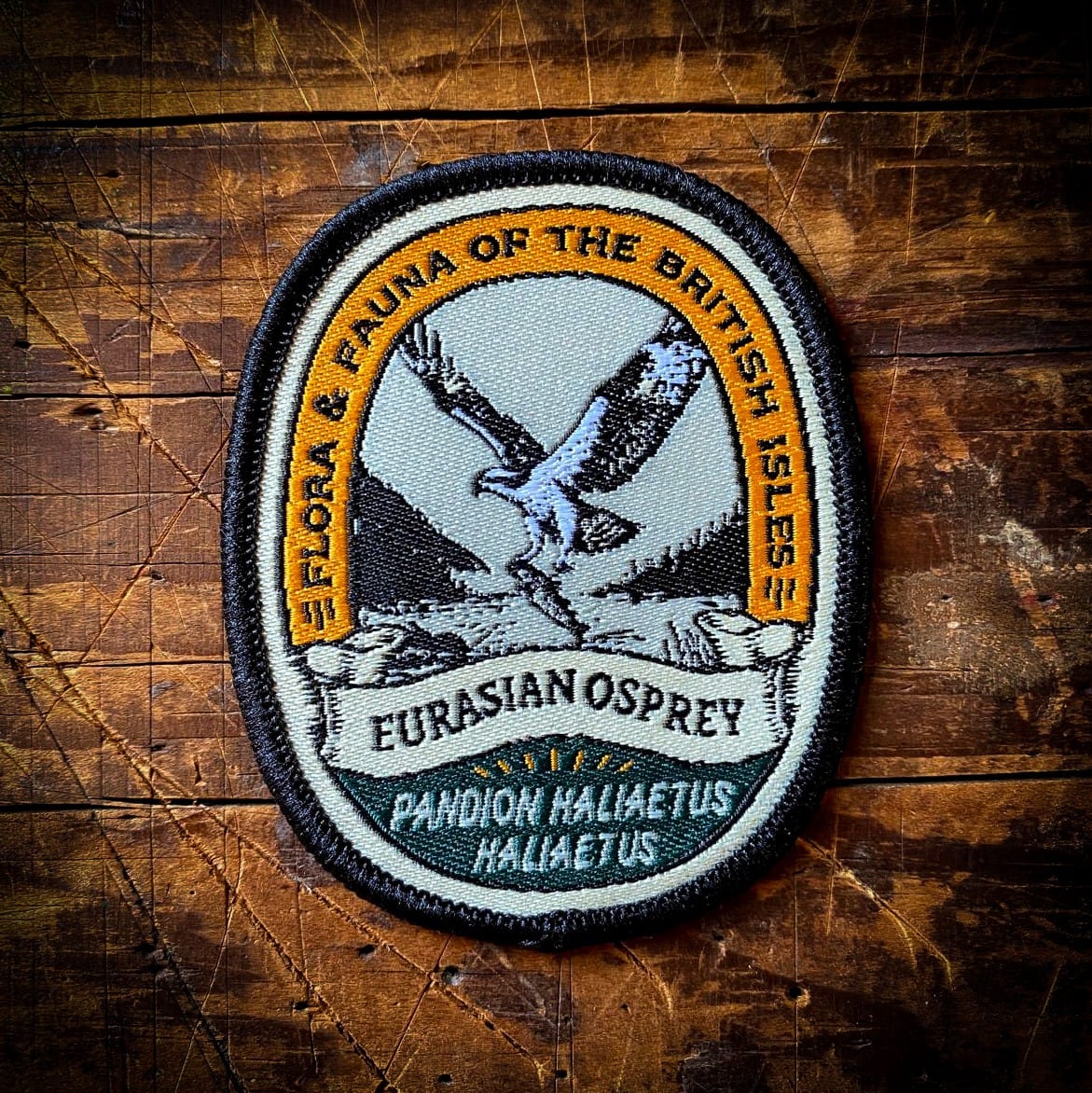 Eurasian Osprey patch – The Adventure Patch Company