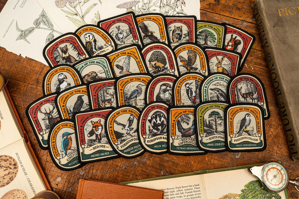 British Wildlife patches – The Adventure Patch Company