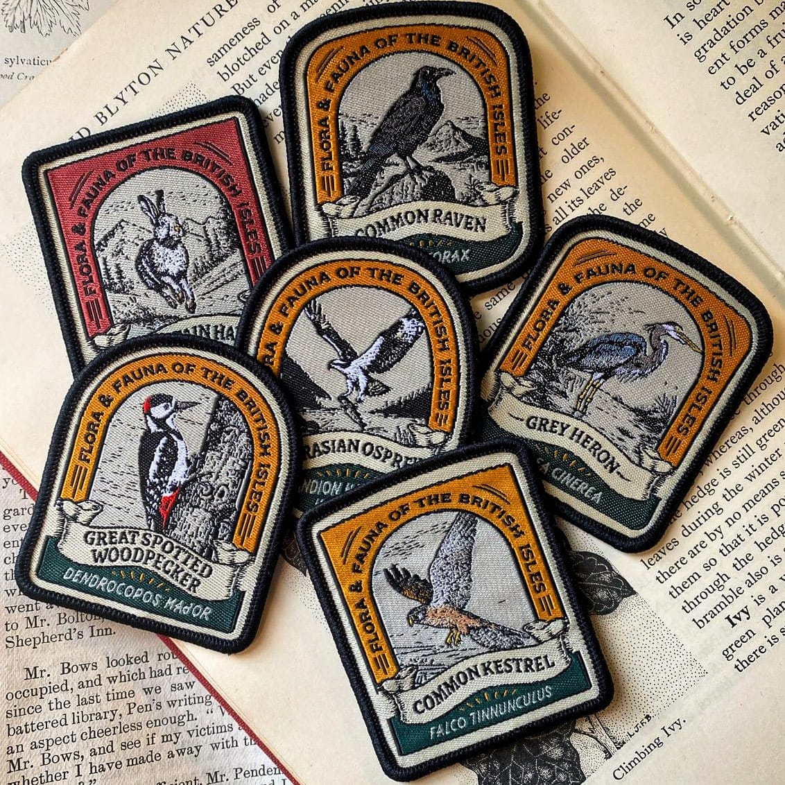 Common Kestrel patch – The Adventure Patch Company