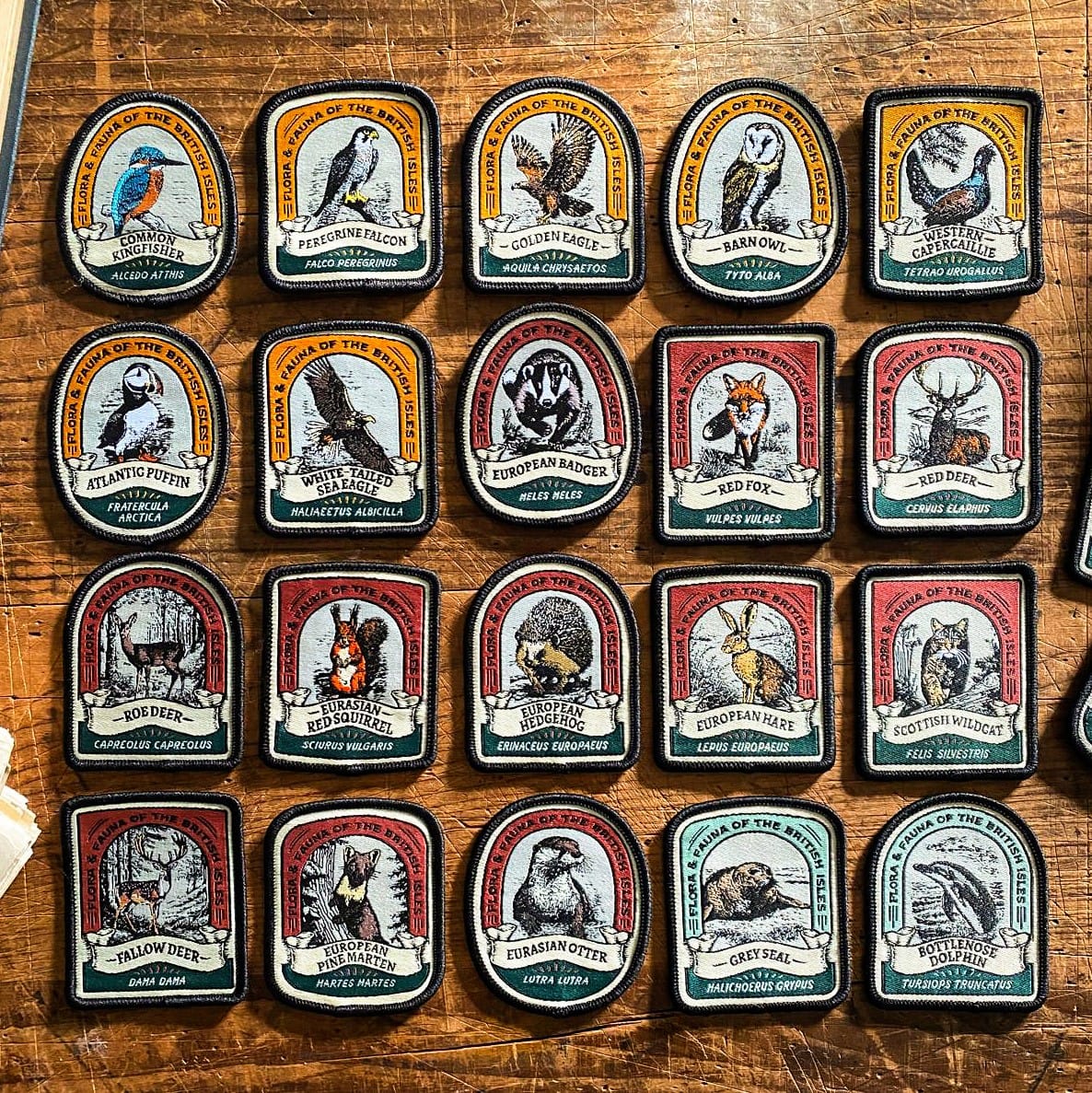 Fallow Deer patch – The Adventure Patch Company