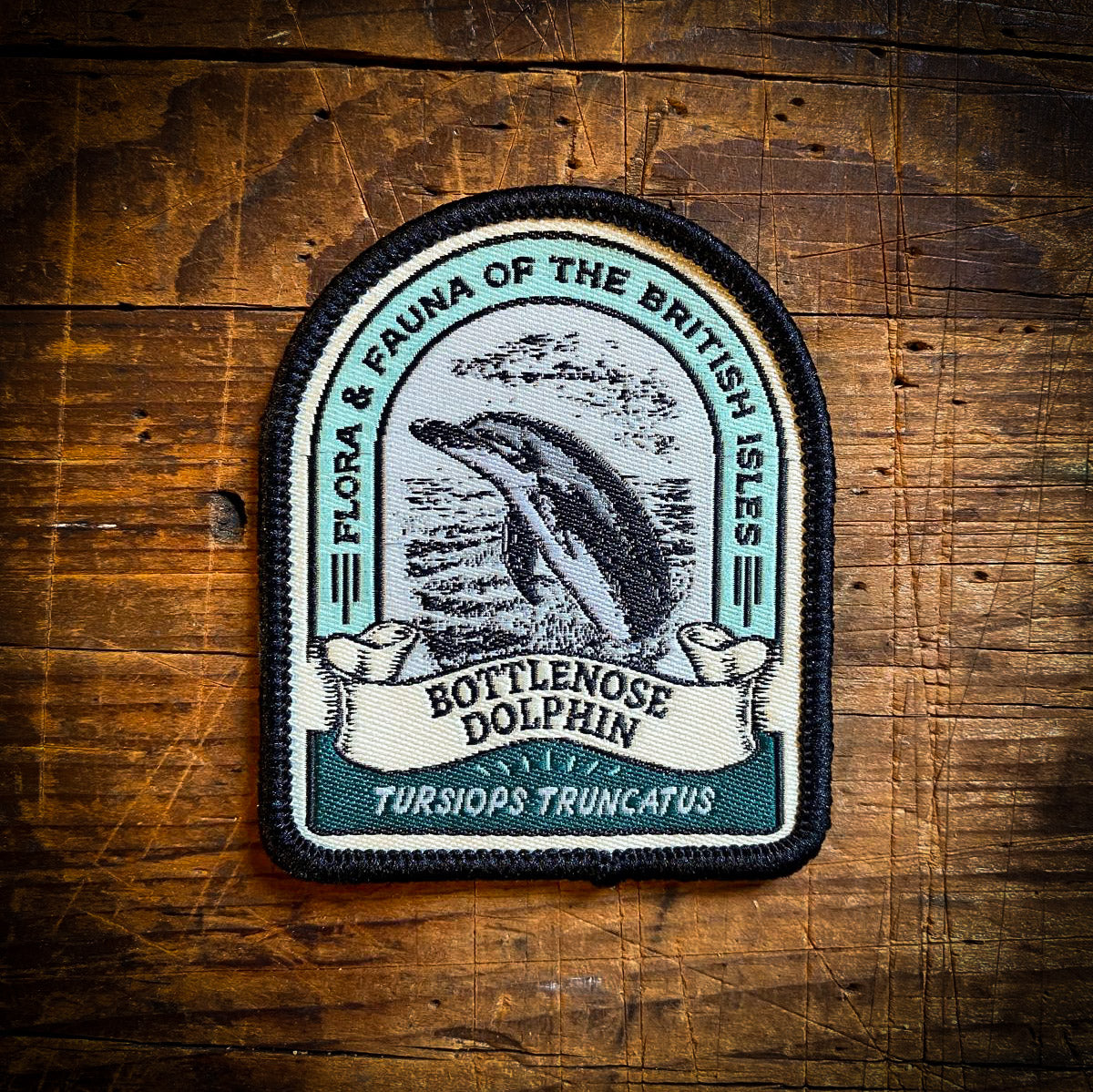 Bottlenose Dolphin patch – The Adventure Patch Company