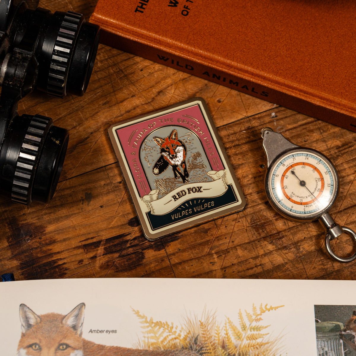 Red Fox fridge magnet – The Adventure Patch Company